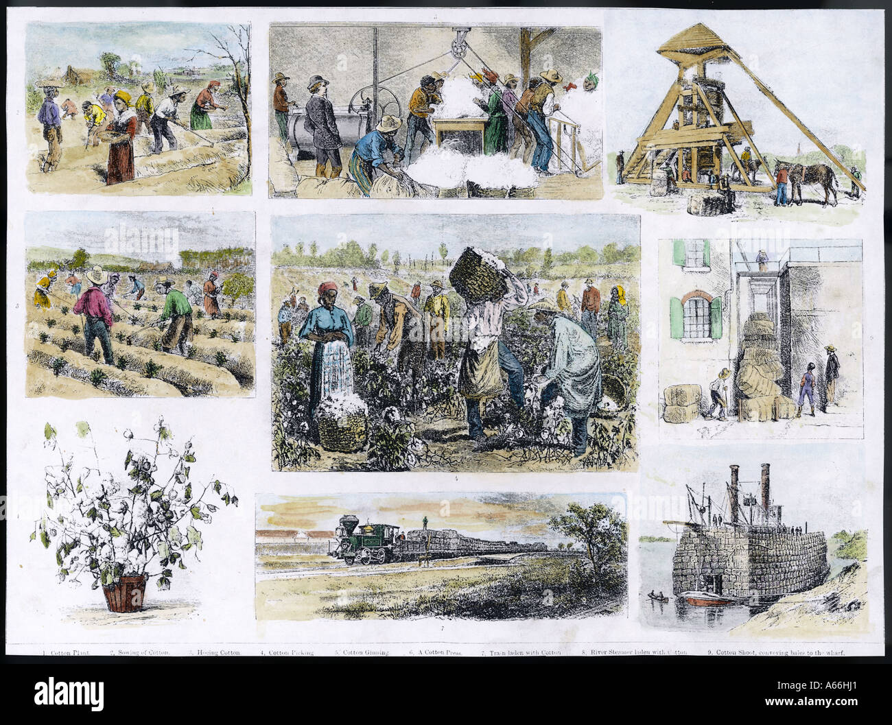 Stages of processing hi-res stock photography and images - Alamy