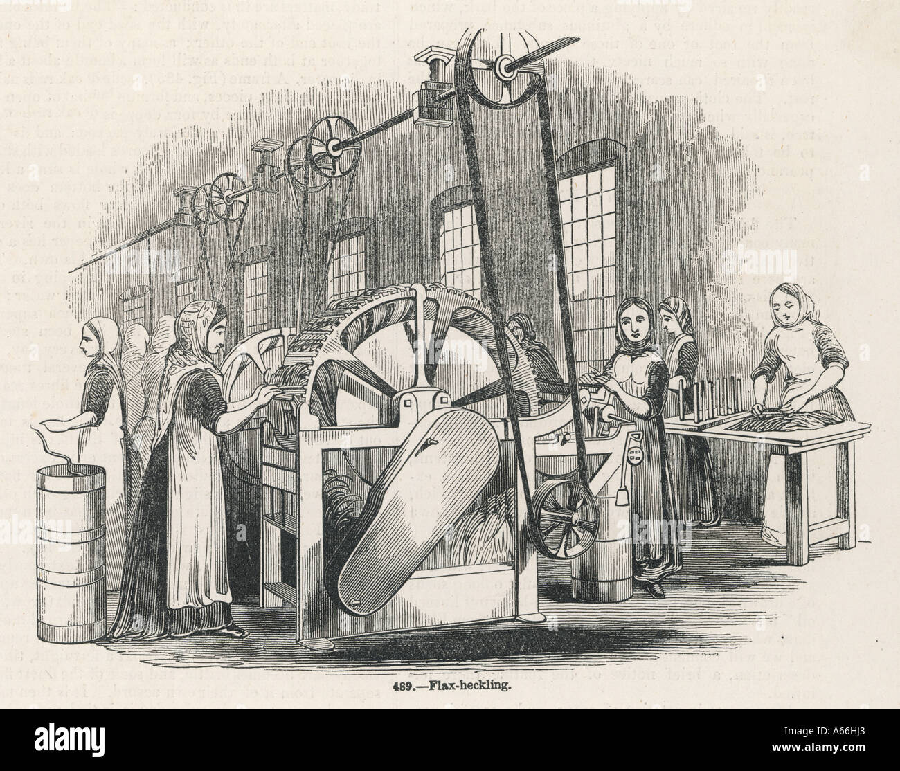 Heckling flax hi-res stock photography and images - Alamy