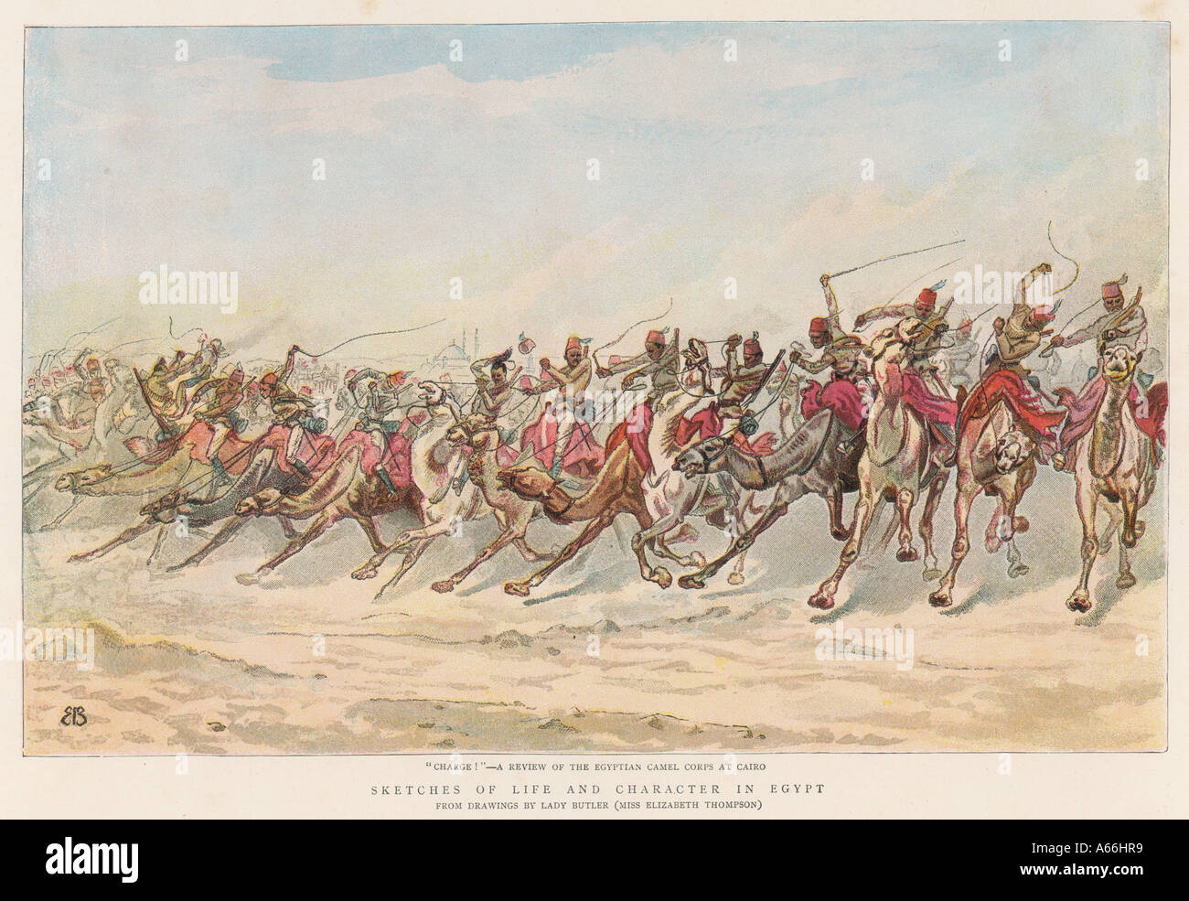 Camel corps hi-res stock photography and images - Alamy