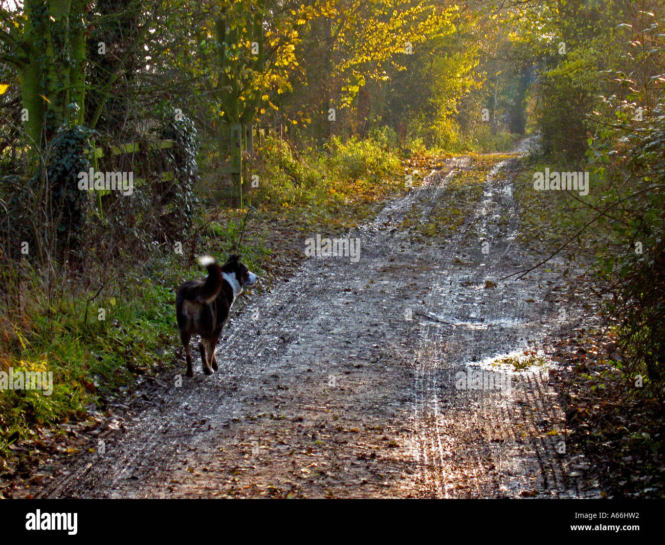 Well tro hi-res stock photography and images - Alamy