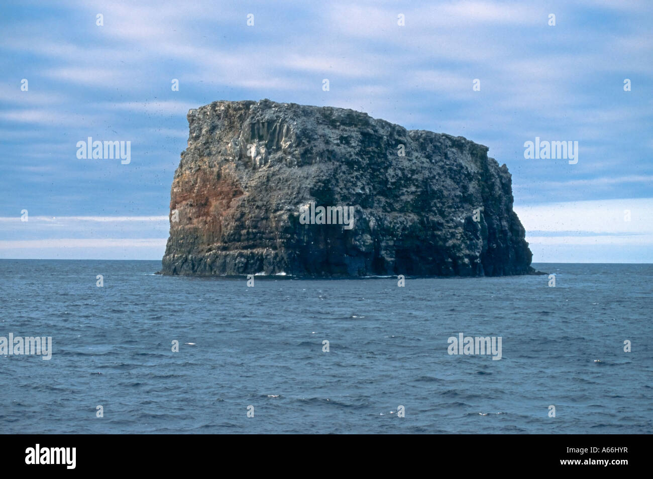Roca Redonda, Galápagos with Large Flocks of Sea Birds Stock Photo - Alamy