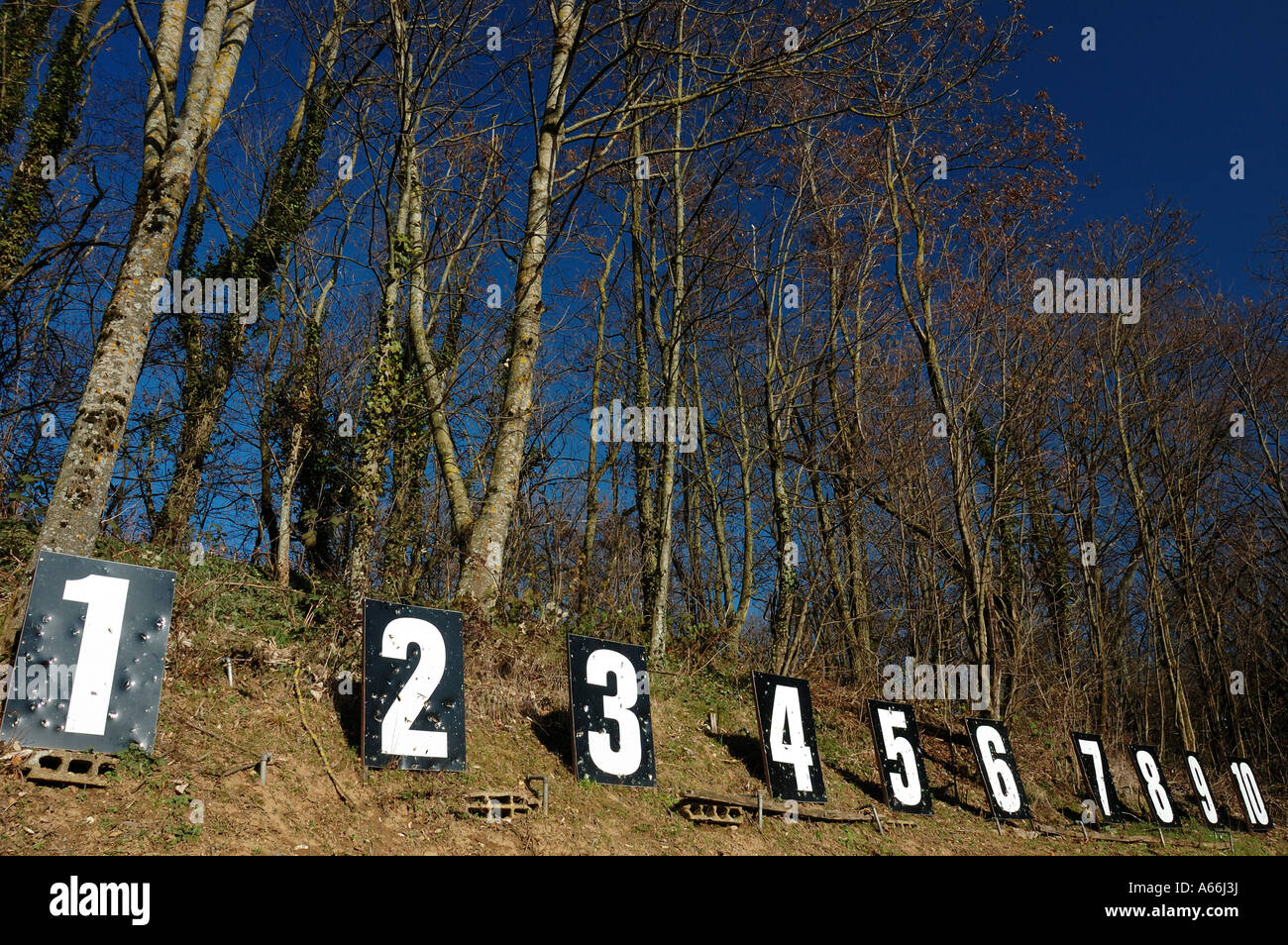 A row of numbers in woodland marking the target positions of a Swiss ...