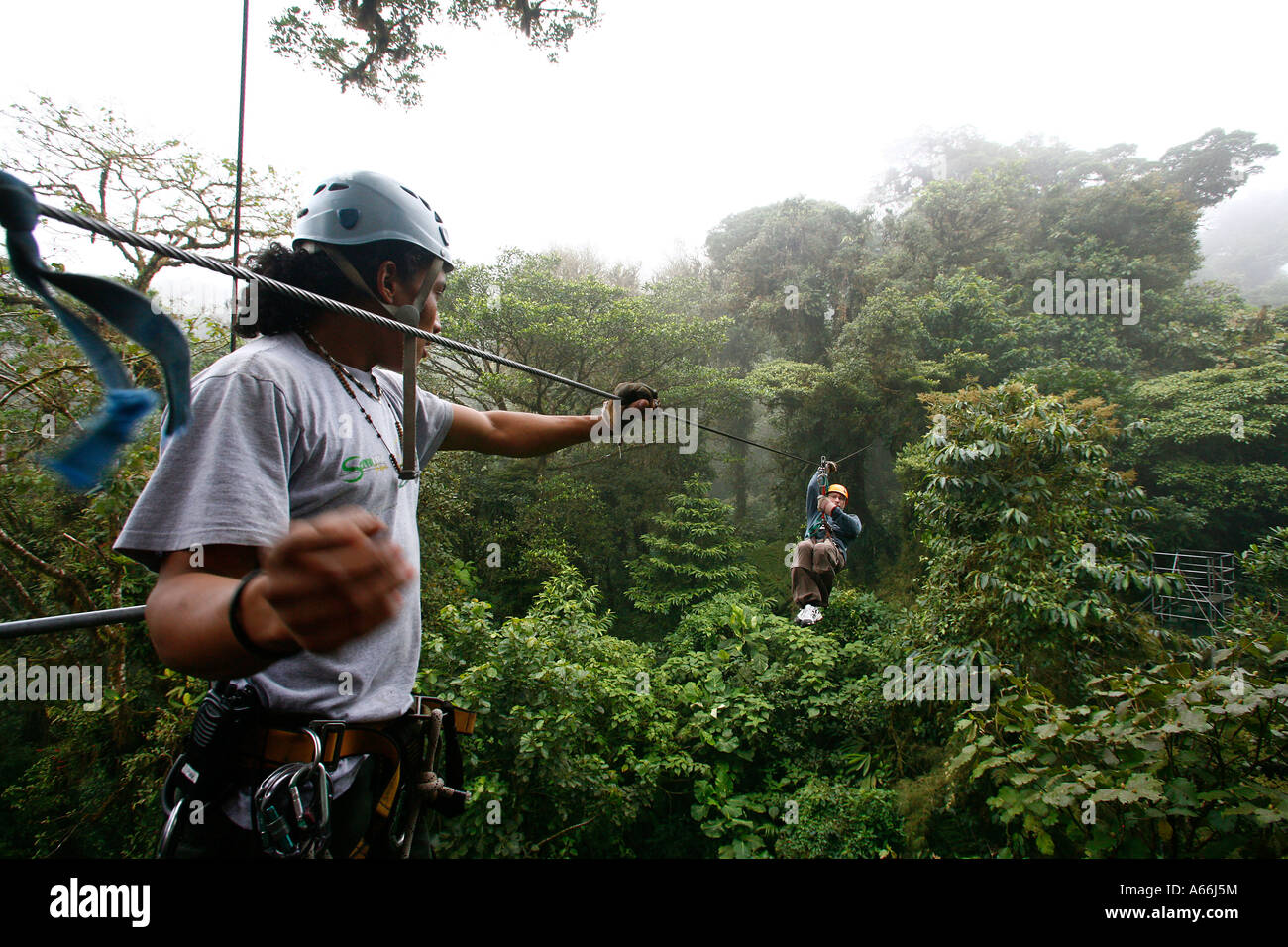 Canopy cable ride at Monteverde cloud forest Costa Rica Stock Photo - Alamy