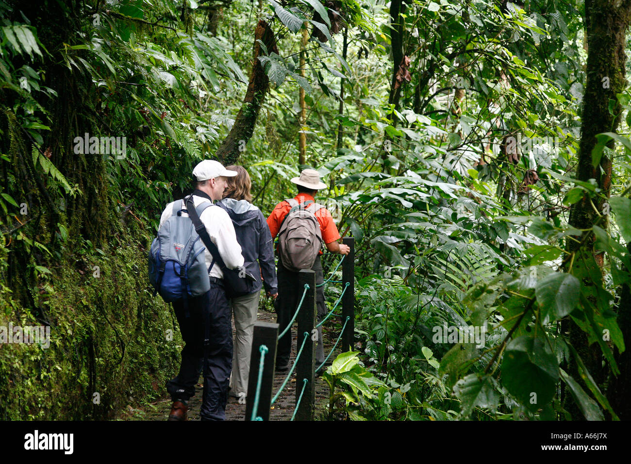 Hikers at the Arenal rainforest reserve La Fortuna area Costa Rica ...