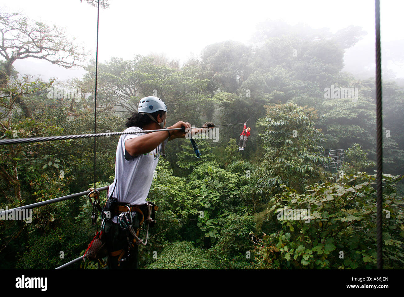 Canopy cable ride at Monteverde cloud forest Costa Rica Stock Photo - Alamy