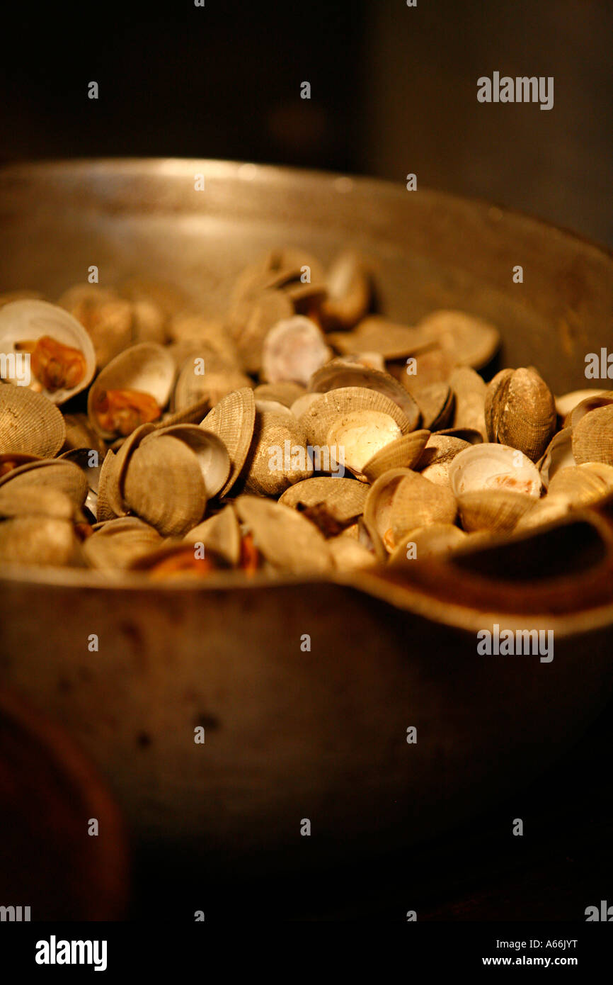 shell in a pot at Playa De Los Artistas restaurant Montezuma Nicoya ...