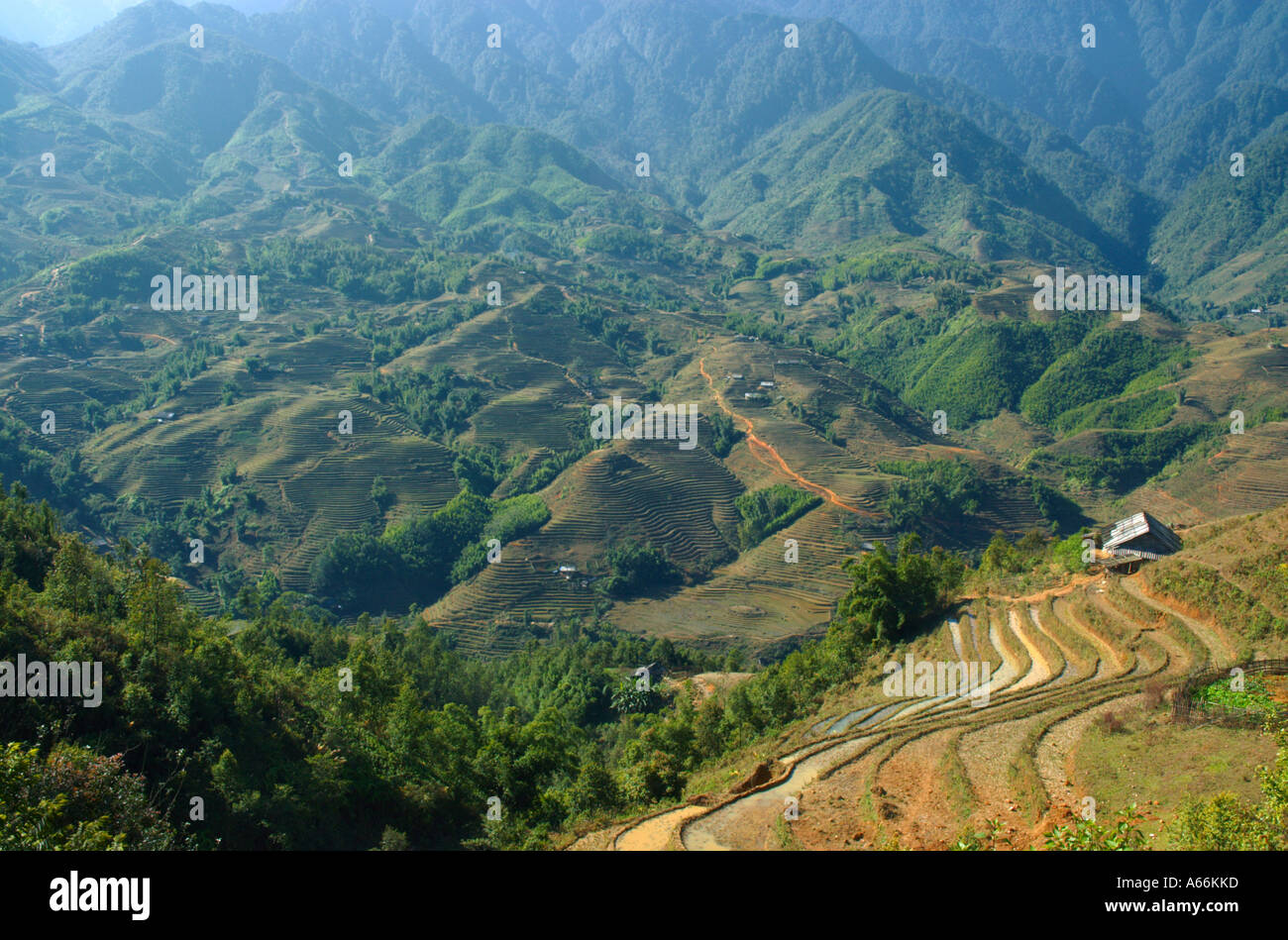 Scenic landscape of rice fields in Vietnam (Sapa Stock Photo - Alamy