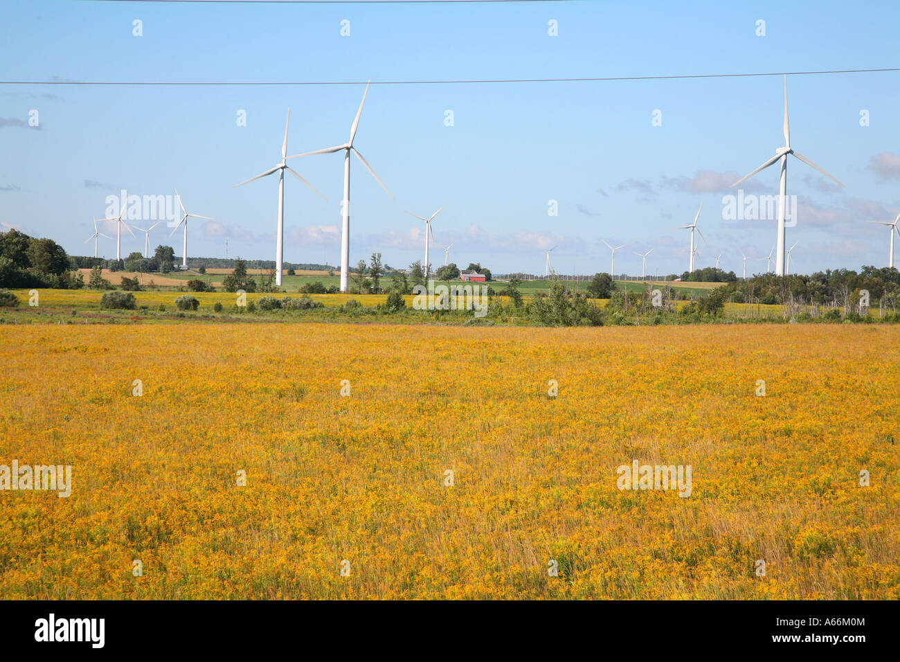 Wind power being generated on Ontario wind farm near Shelbourne Toronto ...