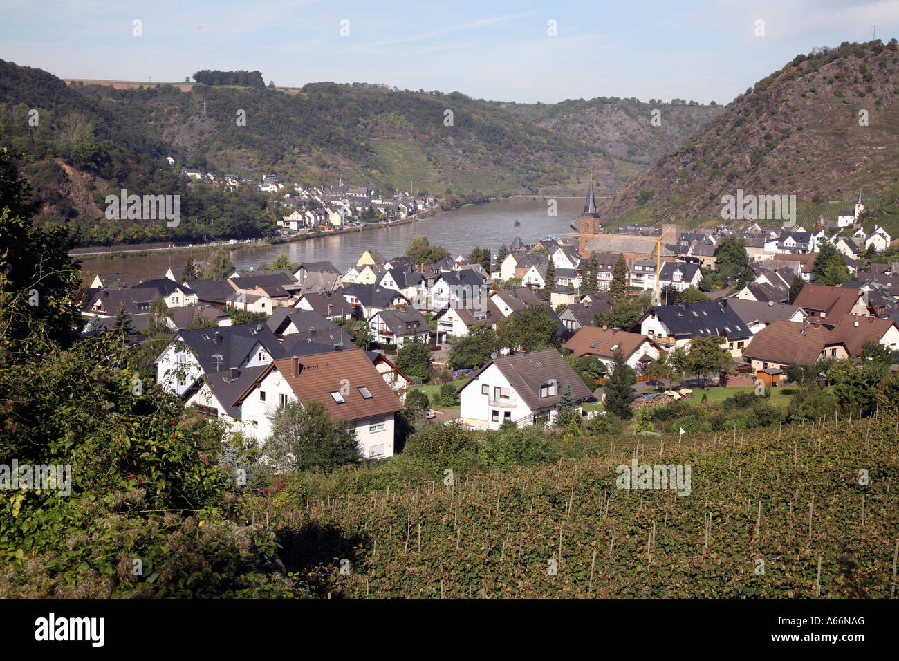 Town on the Mosel in the Mosel Valley on the Mosel River; Rhineland ...