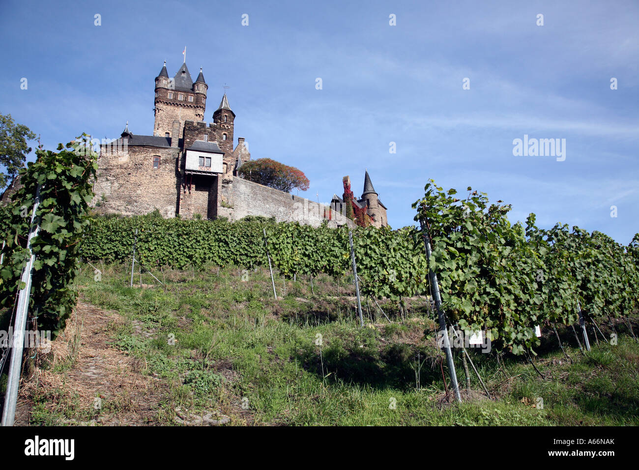 Germany Burg Castle Reichsburg on the river Mosel;in the Mosel Valley ...