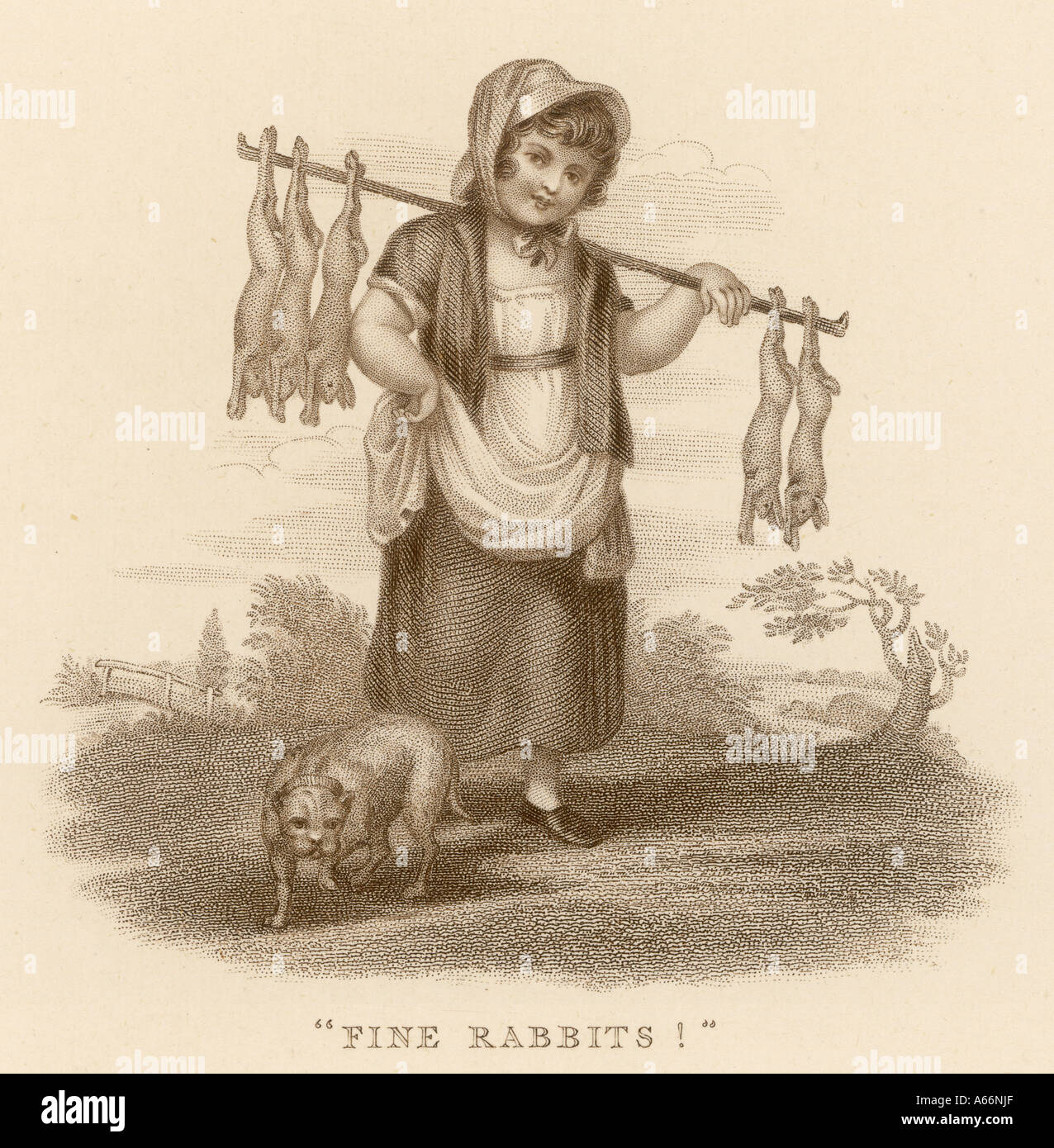 Dead rabbits hi-res stock photography and images - Alamy