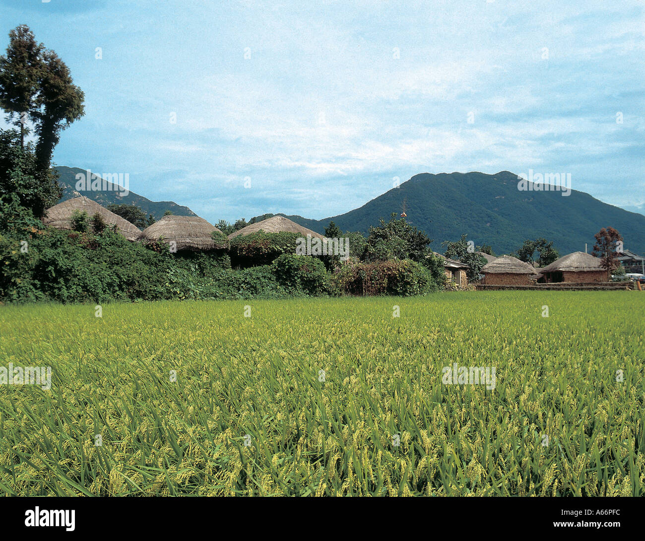 Korean Traditional Scenery Stock Photo - Alamy