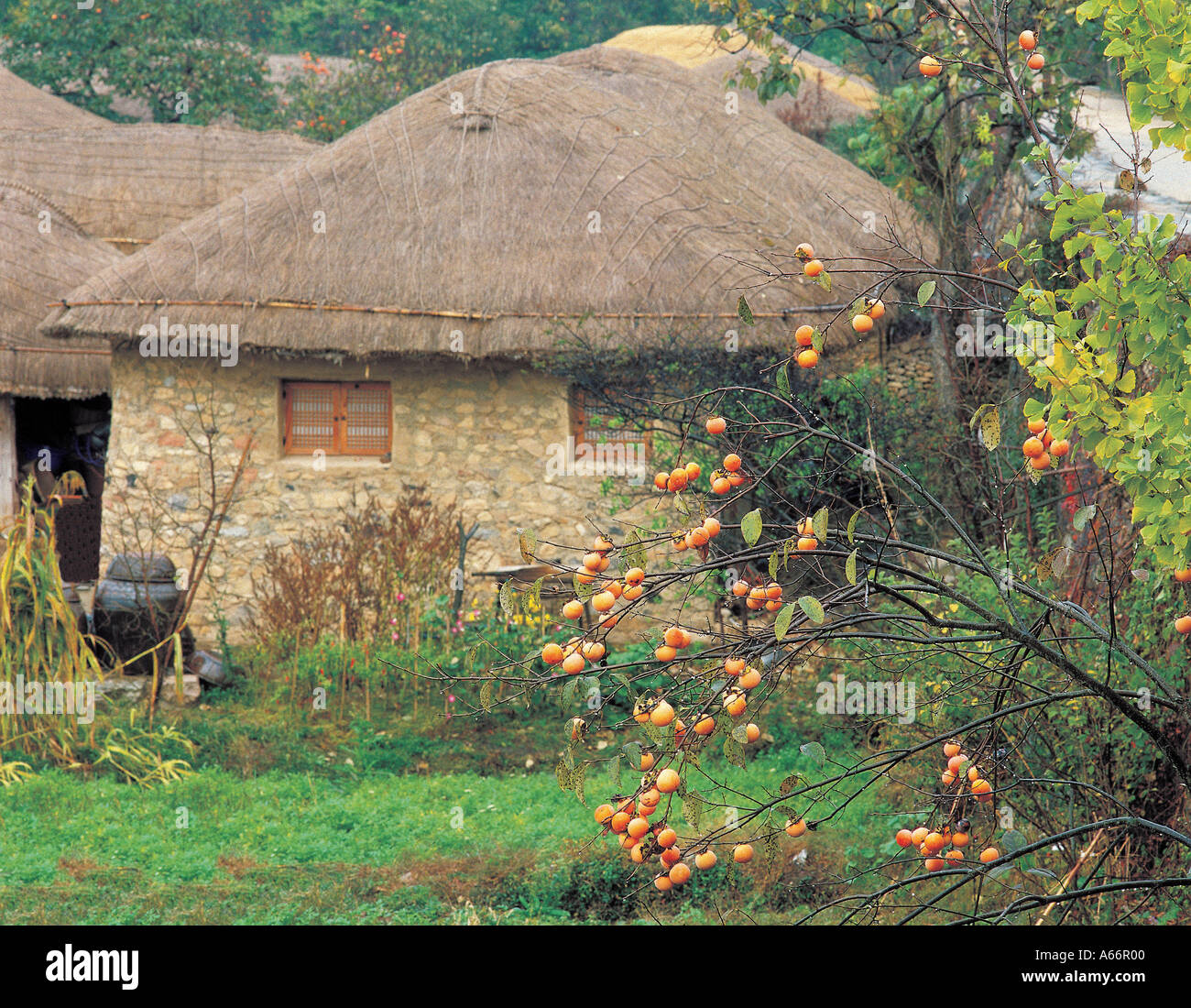 Korean Traditional Scenery Stock Photo - Alamy