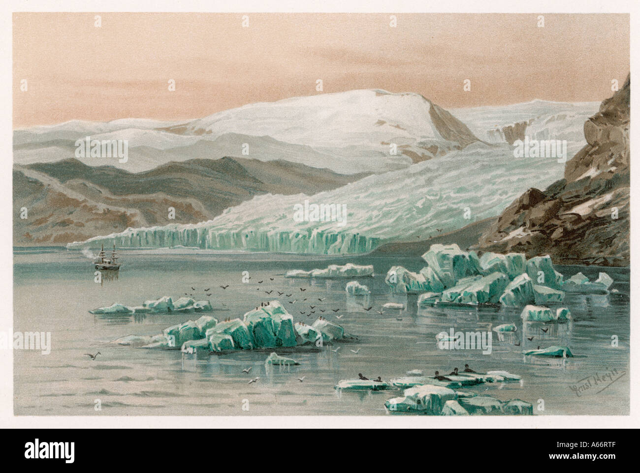 Greenland Whale Sound Stock Photo - Alamy