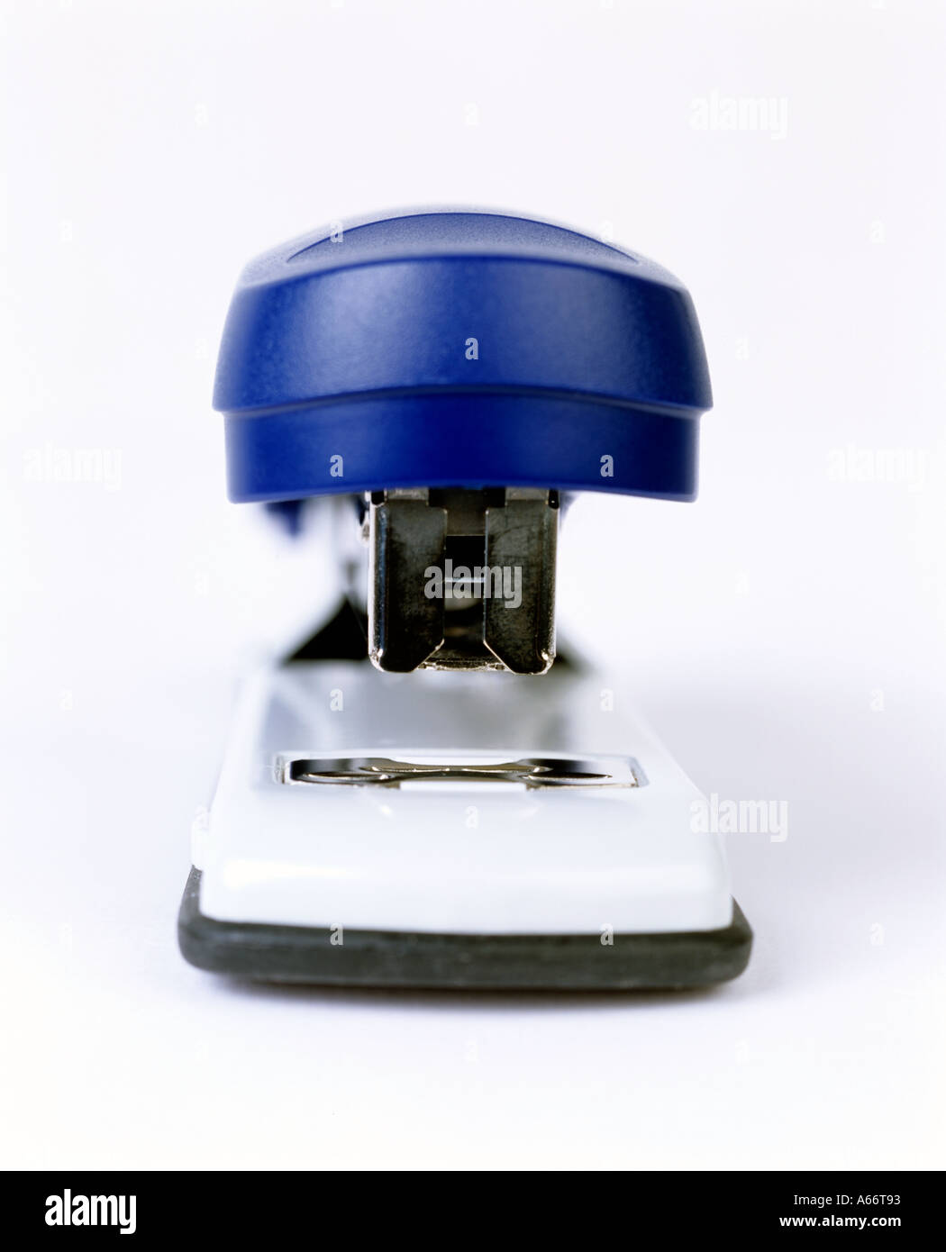 Blue stapler close up hi-res stock photography and images - Alamy
