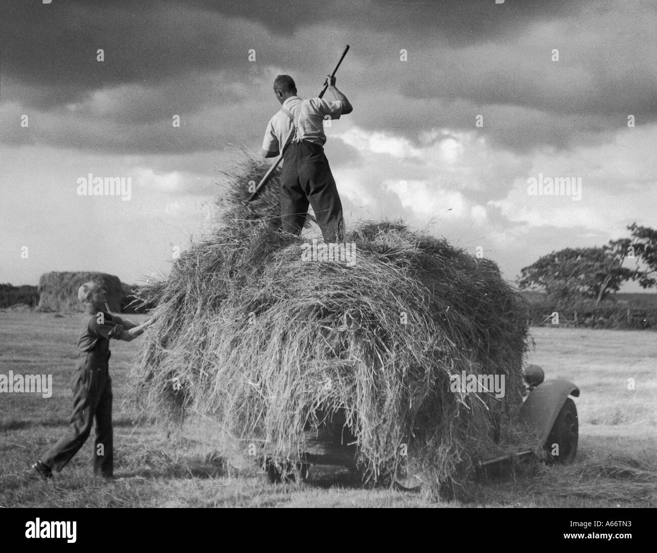Modern fine Black and White Stock Photos & Images - Alamy