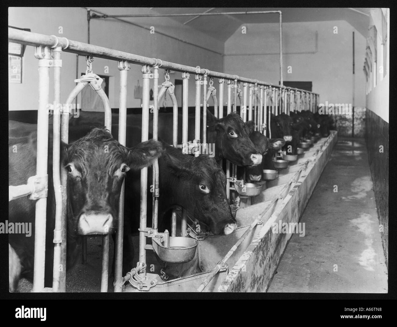 Time units Black and White Stock Photos & Images - Alamy