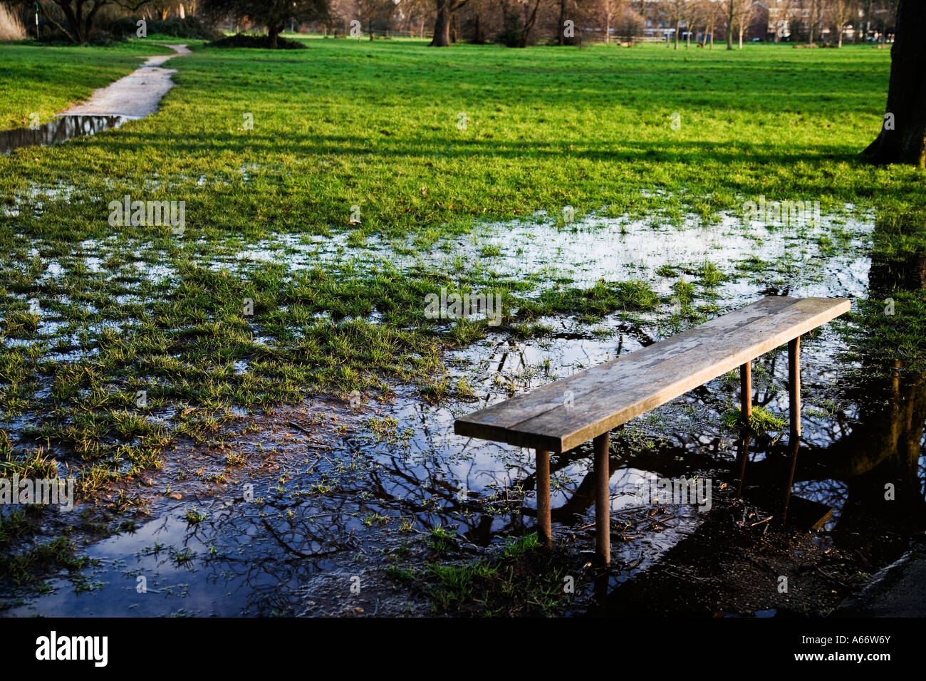Reflections of environment hi-res stock photography and images - Alamy