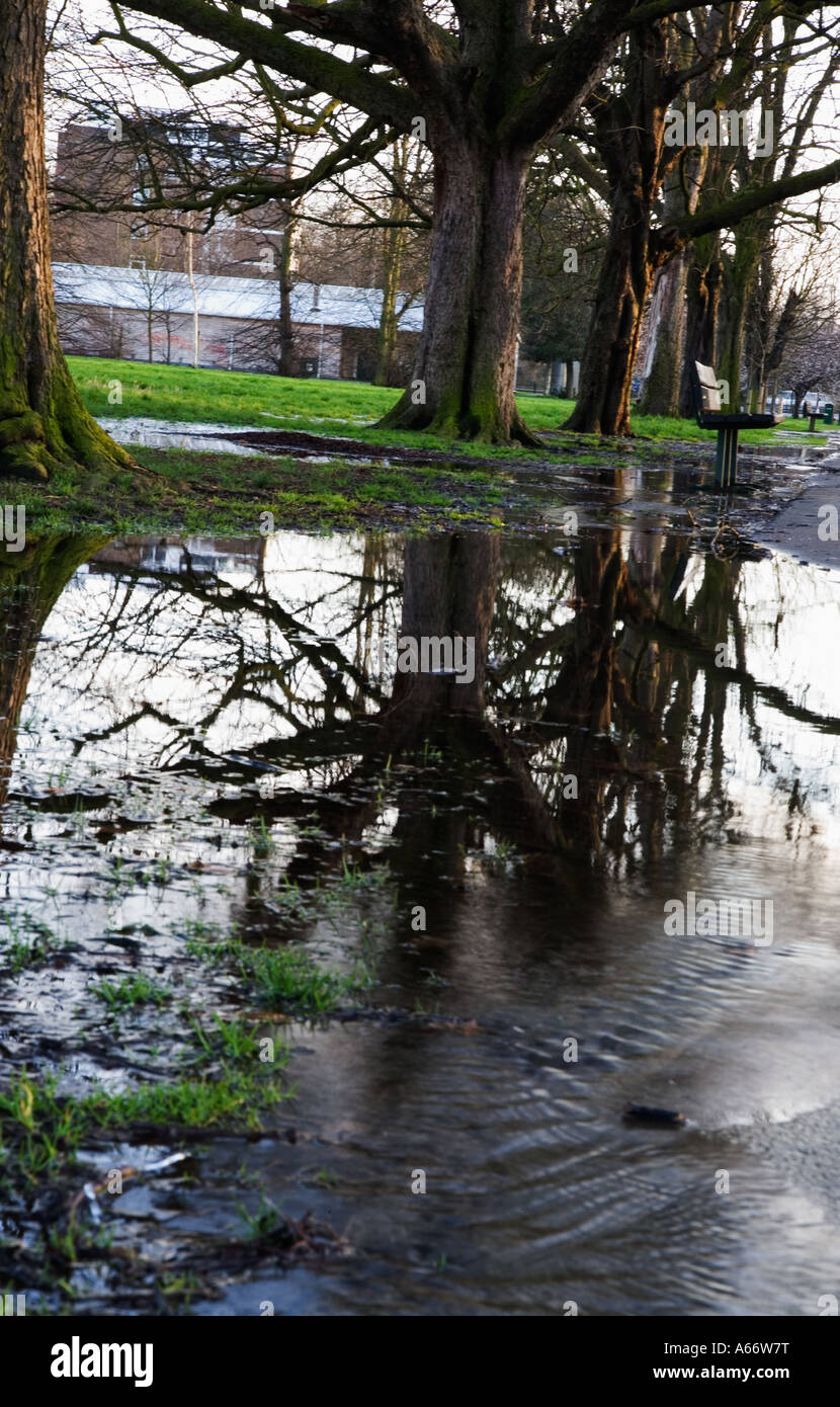 Reflection of trees in water Stock Photo - Alamy