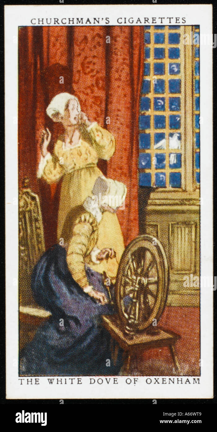 White Dove Oxenham Stock Photo - Alamy