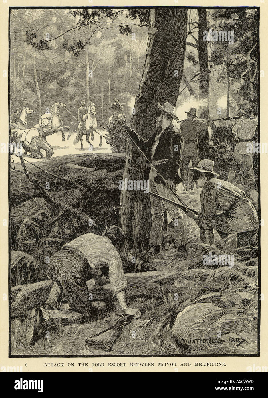 Bushranger hi-res stock photography and images - Alamy