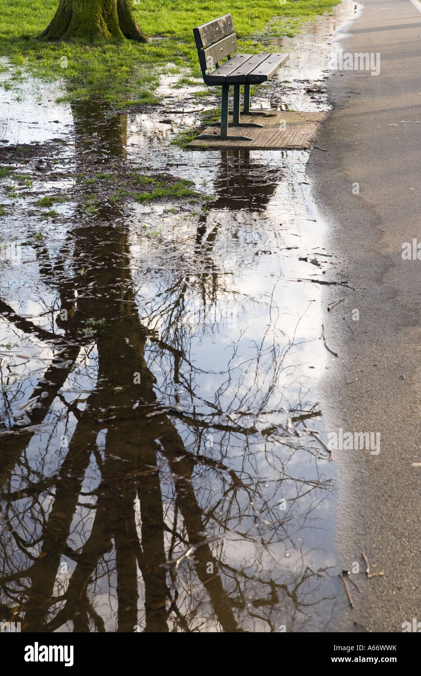 Reflection of bench on water Stock Photo - Alamy