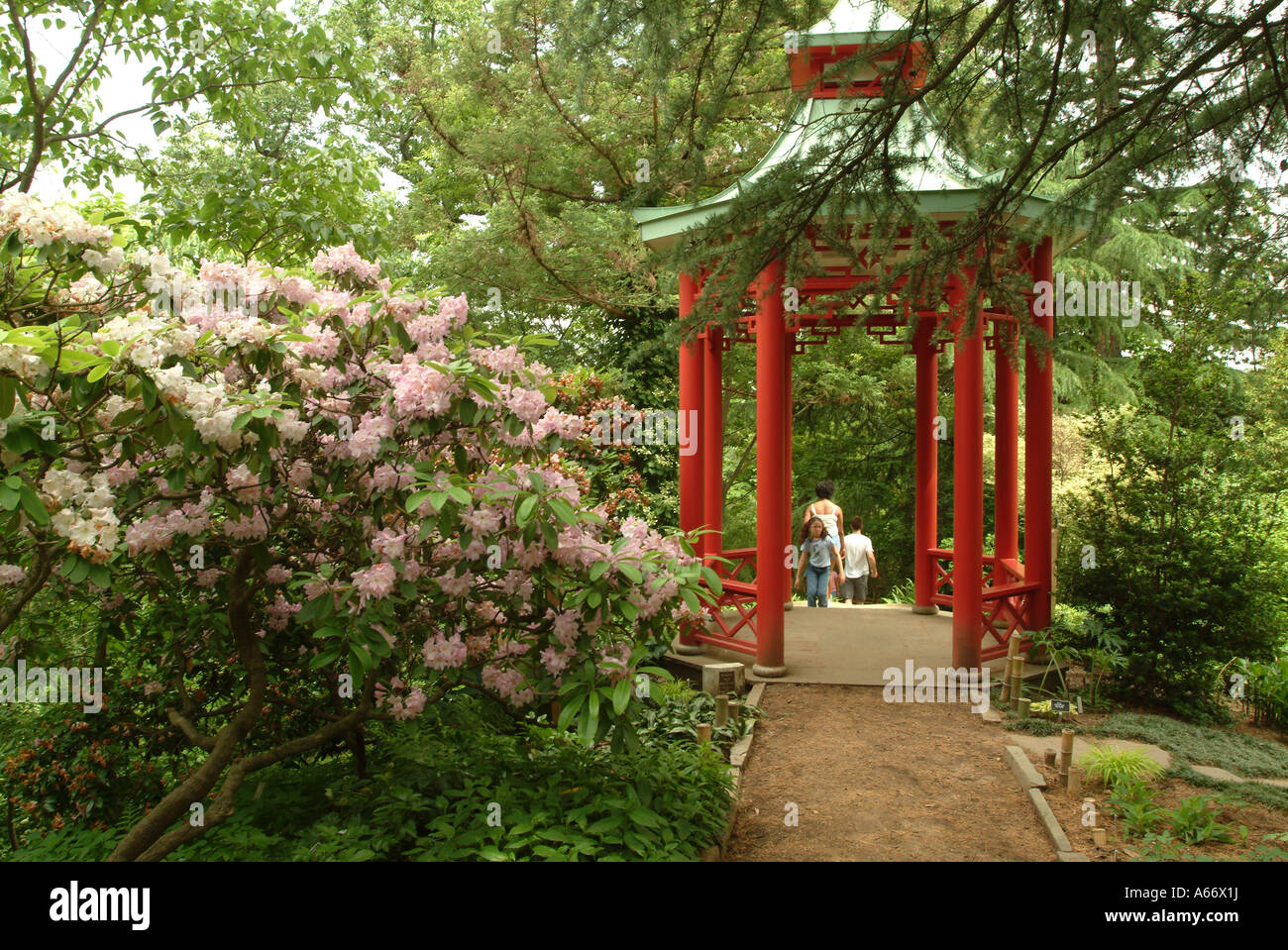 A red Pagoda in the Asian gardens of the U S National Arboretum Stock ...