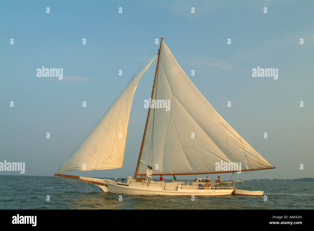 Skipjack sailboat on the Chesapeake Bay at sunset near Tilghman Island ...