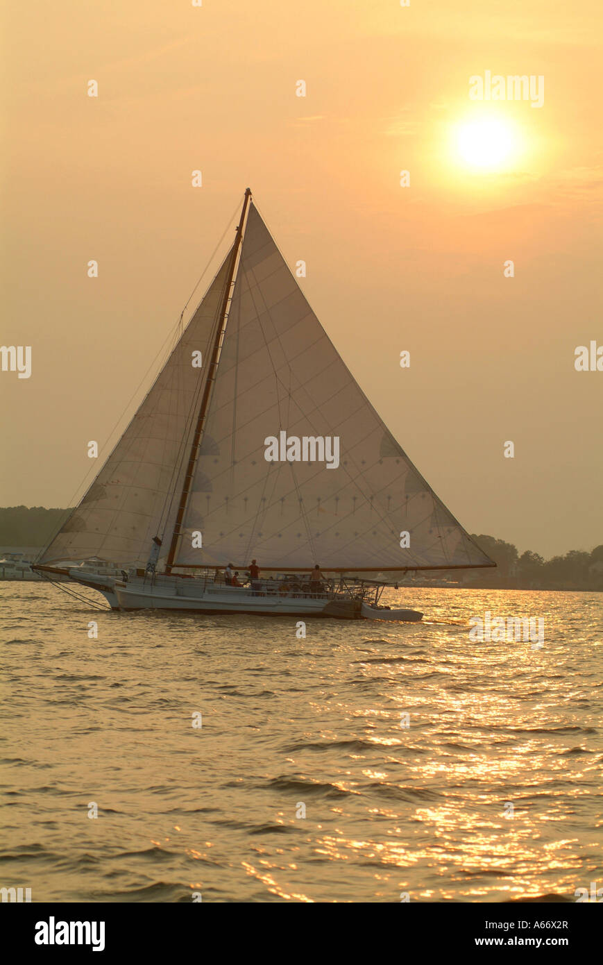 Skipjack sailboat on the Chesapeake Bay at sunset near Tilghman Island ...