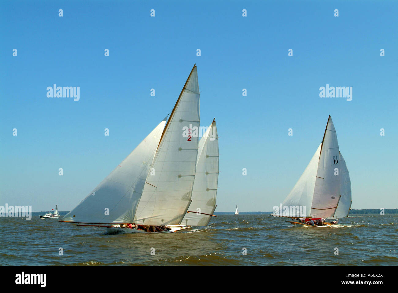 Log canoe sailboat racing on a Chesapeake Bay region river Stock Photo ...