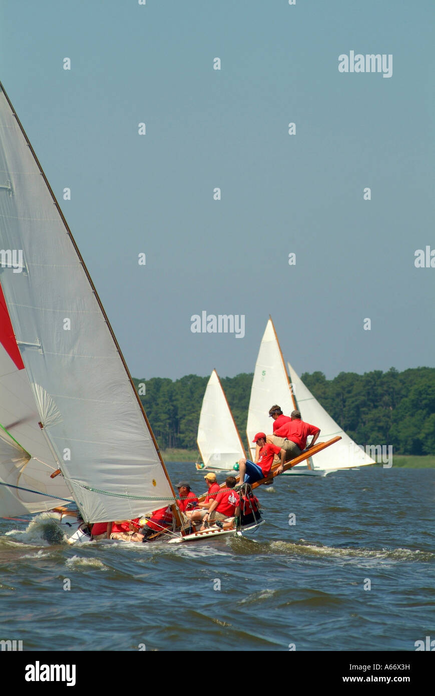 Log canoe sailboat racing on a Chesapeake Bay region river Stock Photo ...