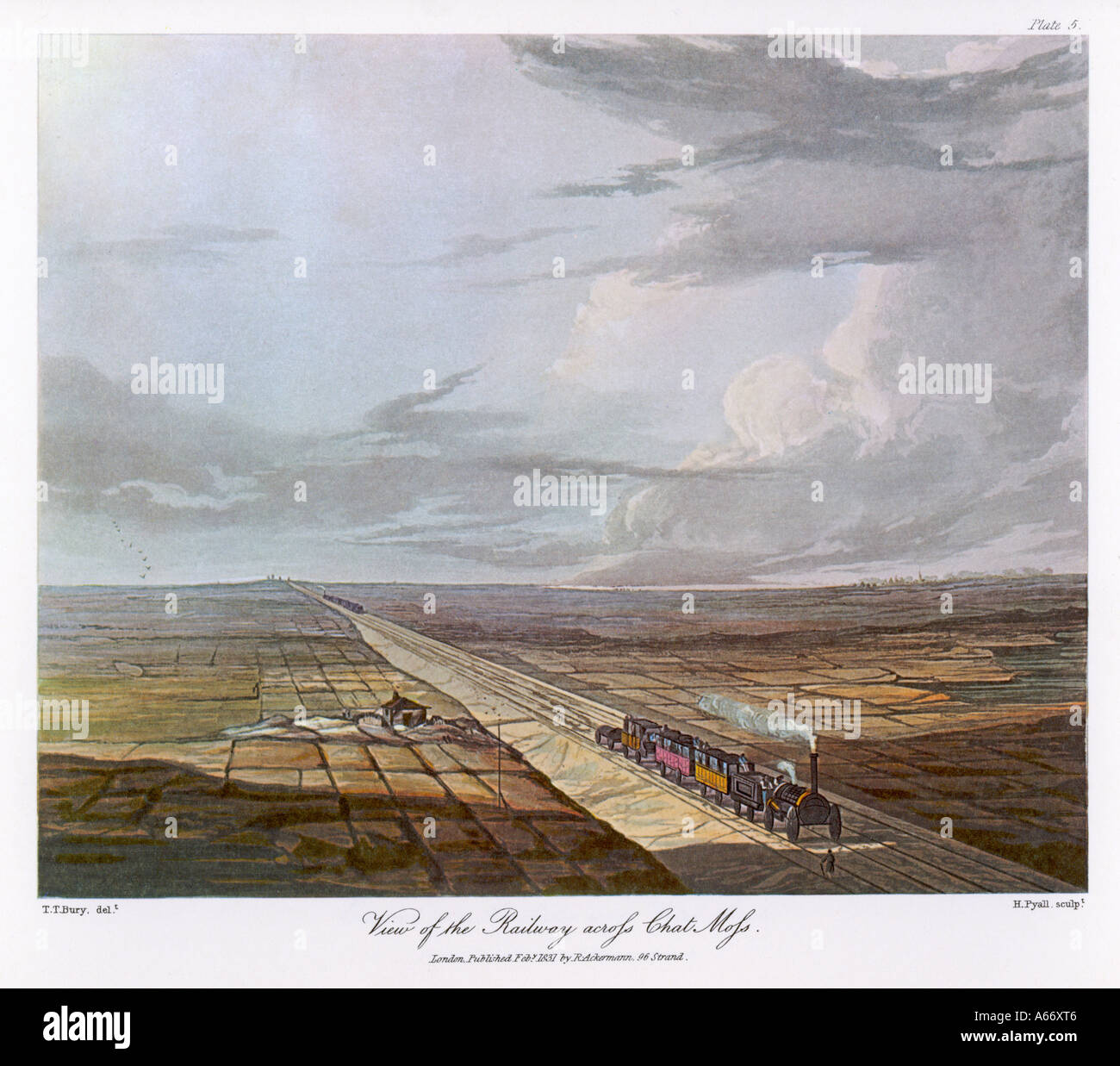 Rail Chat Moss 1831 Stock Photo - Alamy