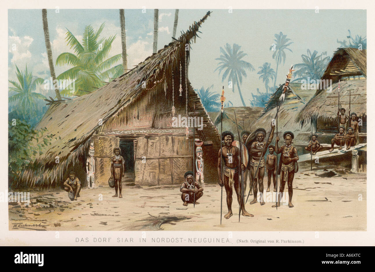 Papua new guinea natives in hi-res stock photography and images - Alamy