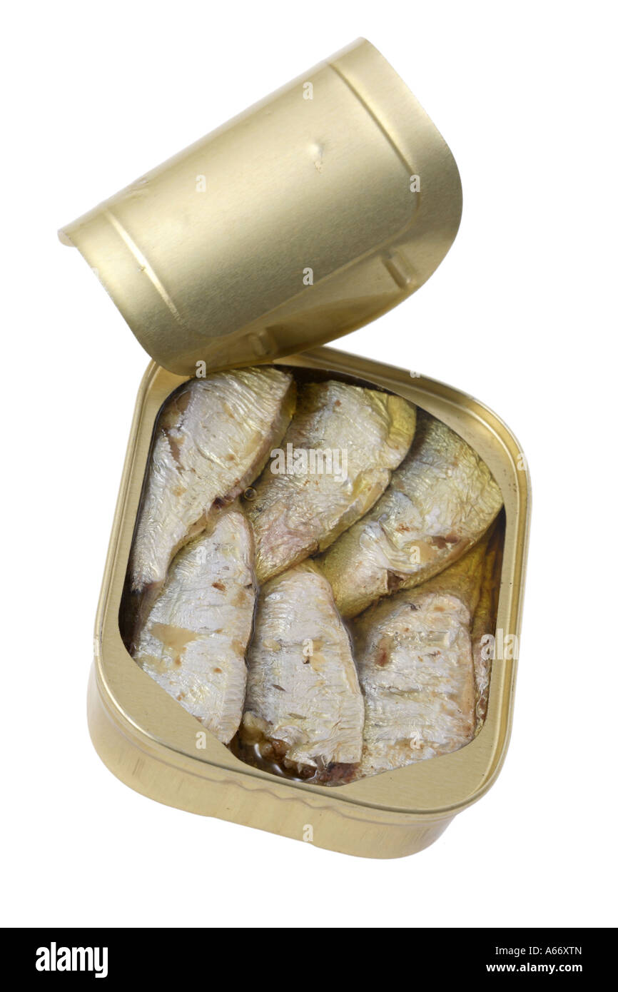 Sardines cut out on white background Stock Photo - Alamy