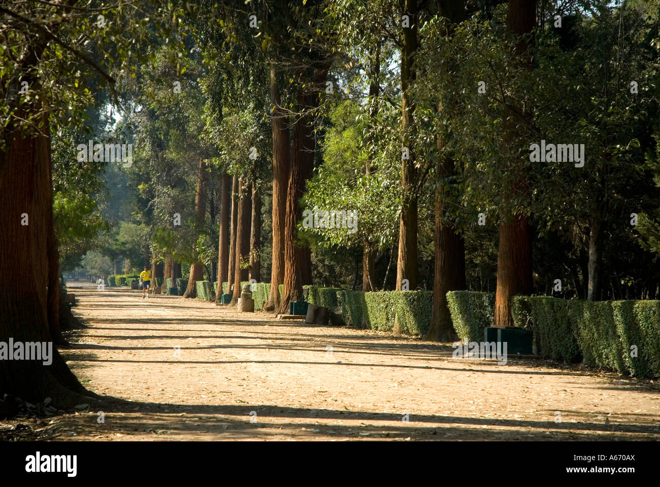 coyoacan viveros park - mexico Stock Photo - Alamy
