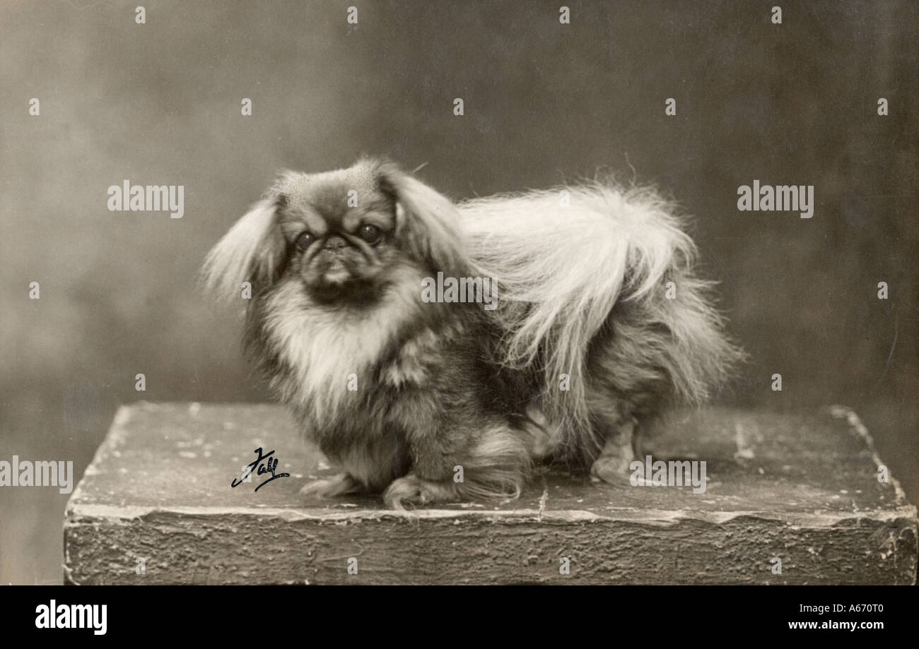 Kingswere hi-res stock photography and images - Alamy