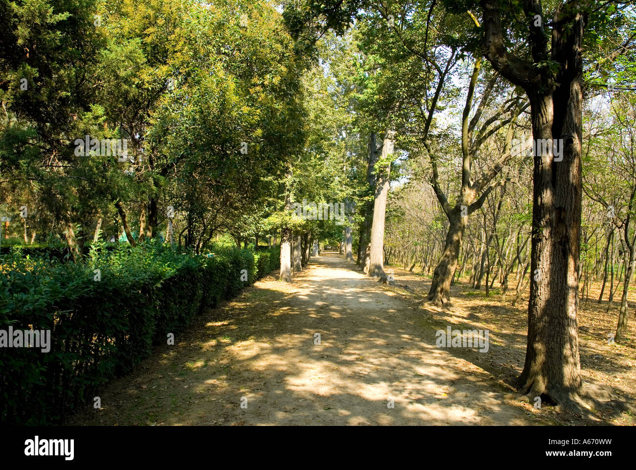coyoacan viveros park - mexico Stock Photo - Alamy