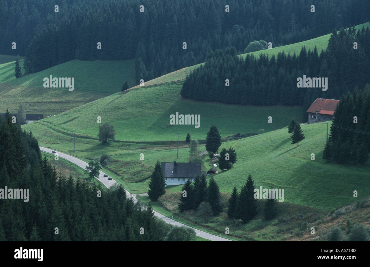 Schwarzwald Landscape near Furtwangen valley with road house forest ...