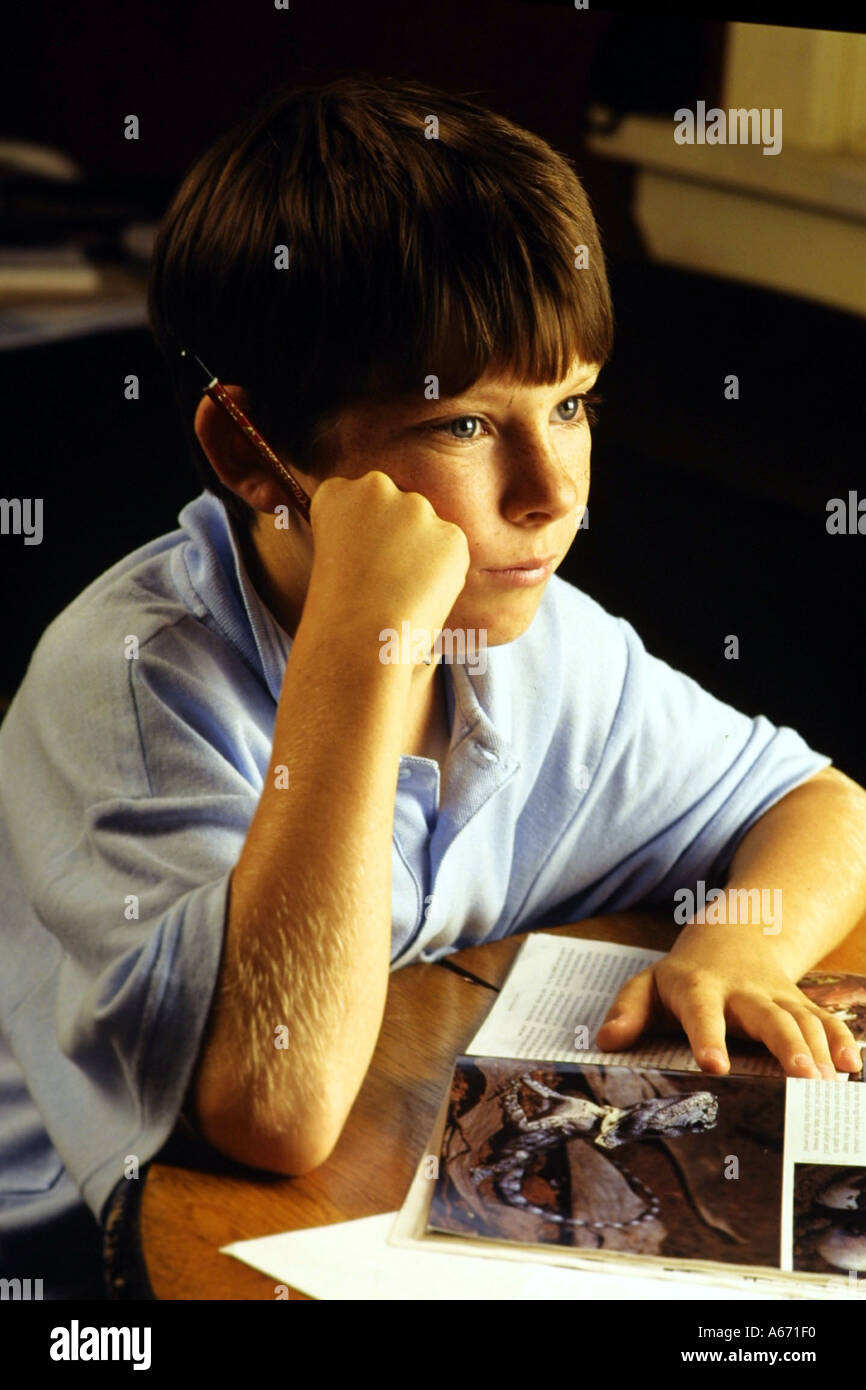 School boy with Homework Stock Photo - Alamy