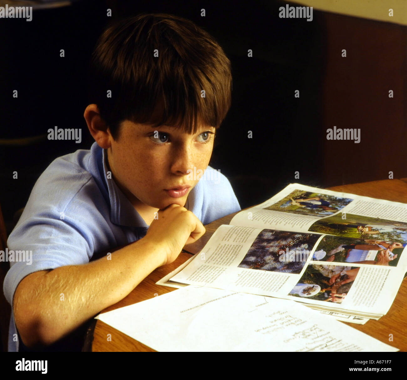 Boy studying at home after school in Australia Stock Photo - Alamy