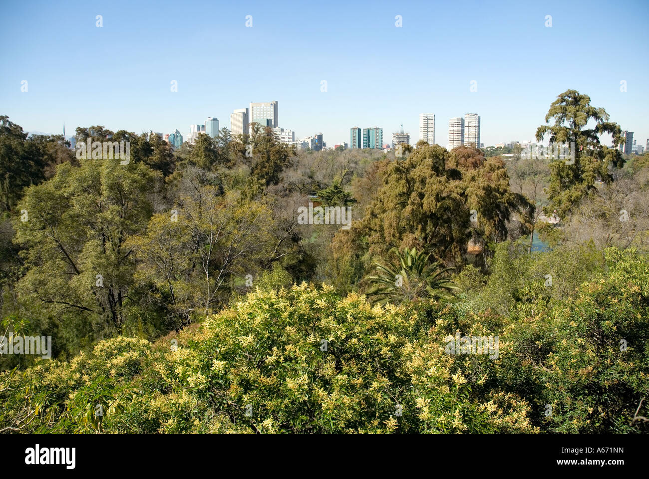 panoramic view of mexico city from castle chapultepec Stock Photo - Alamy