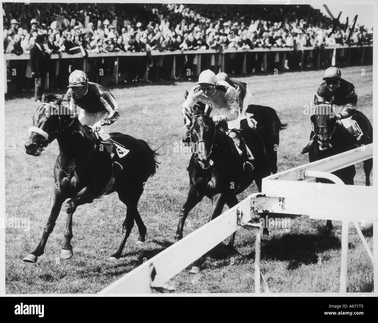 Brighton horse racing hi-res stock photography and images - Alamy