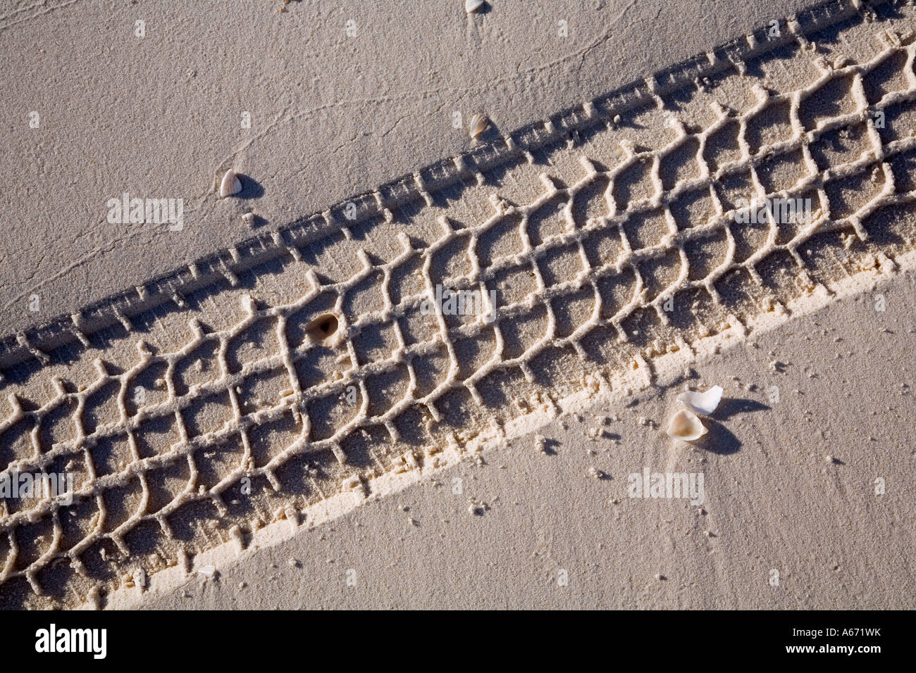 Four wheel drive tracks in the sand. An abundance of sand and lack of ...