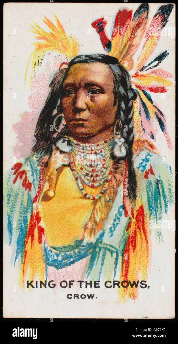 King crow hi-res stock photography and images - Alamy