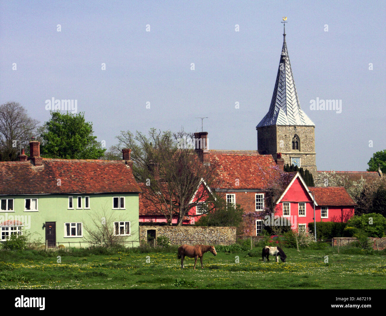 Ickleton Cambridgeshire village landscape with horses grazing in meadow ...