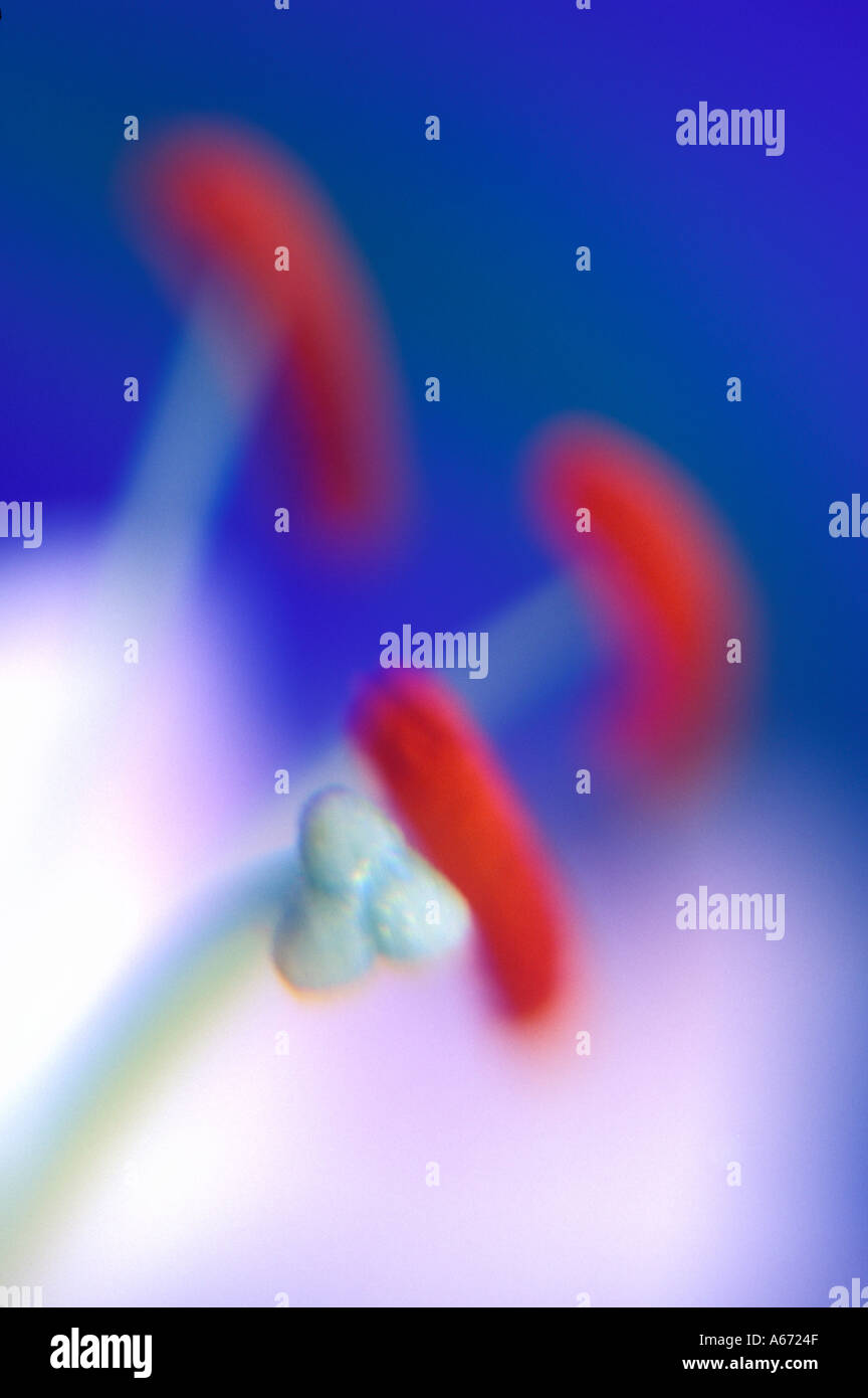 Marco polo house london hi-res stock photography and images - Alamy