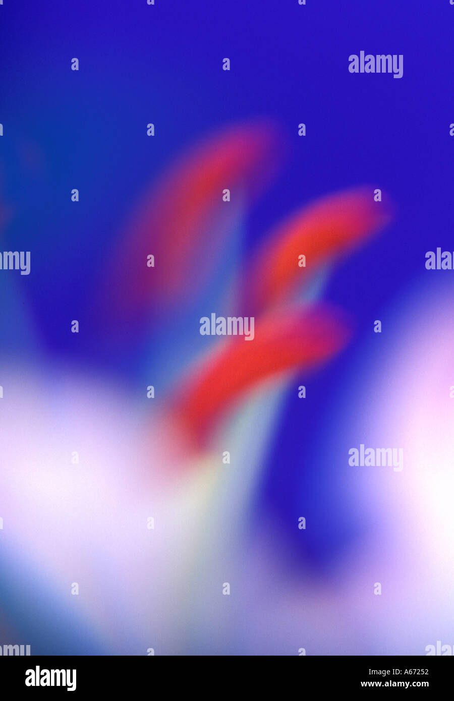 Marco polo house london hi-res stock photography and images - Alamy