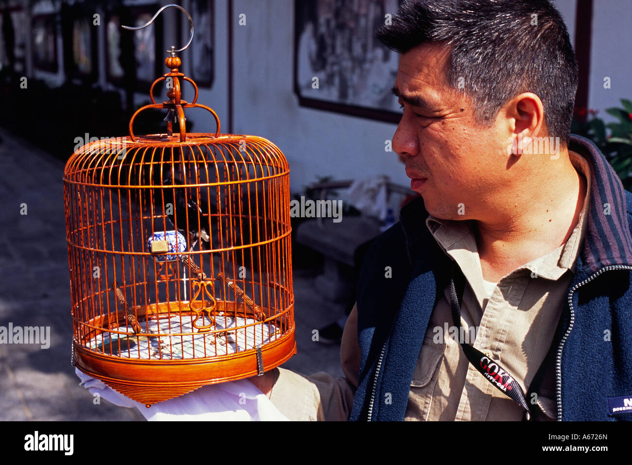 A man browses through the many birds in the Yuen Po Street Bird Garden ...