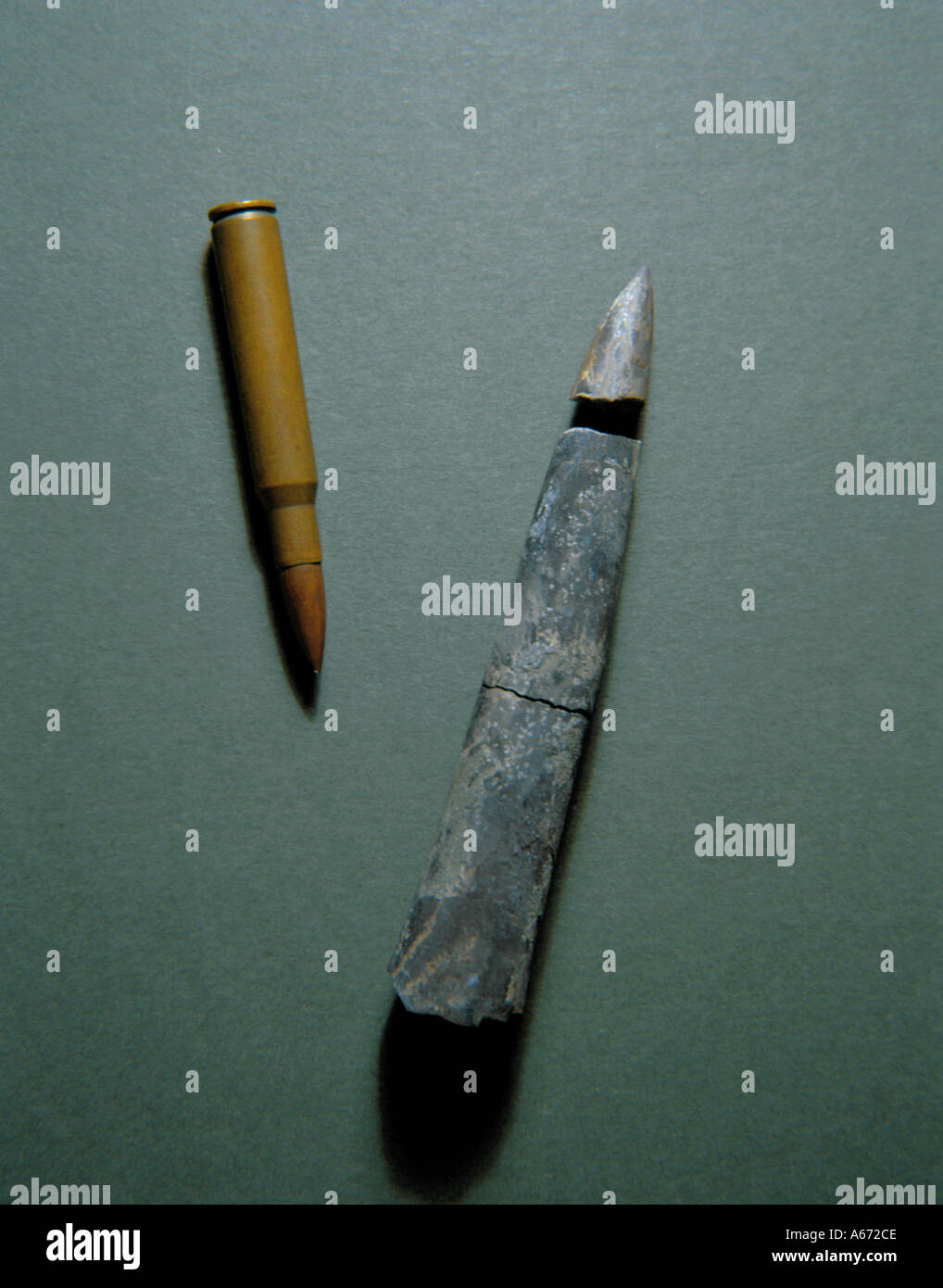 Fossil belemnite and a rifle bullet. Fossil in Jurassic limestone ...