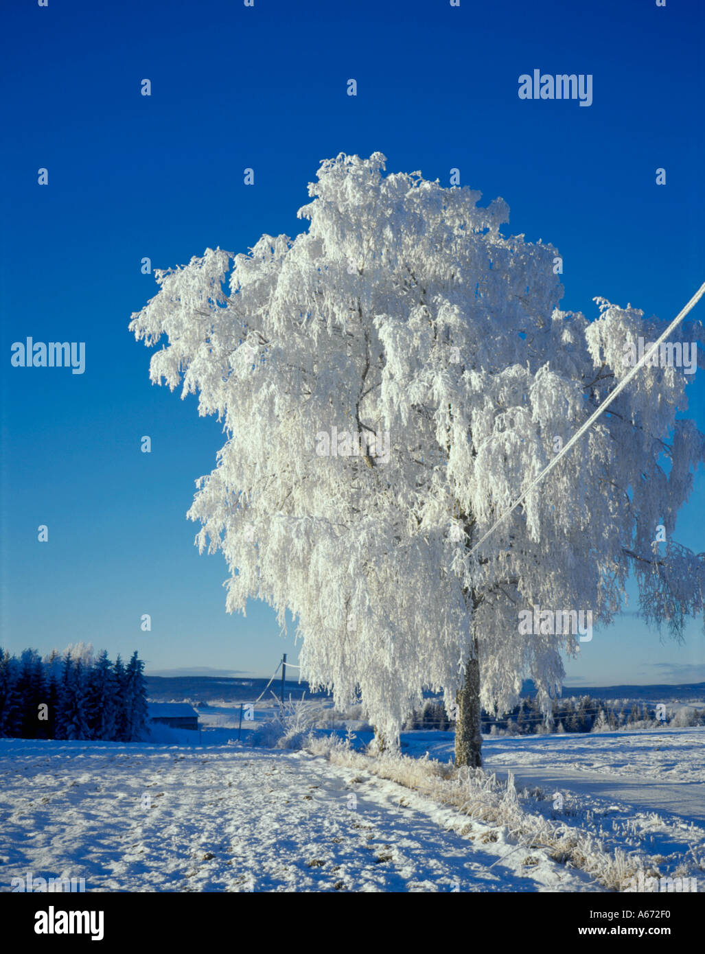 Freezing cold oslo hi-res stock photography and images - Alamy